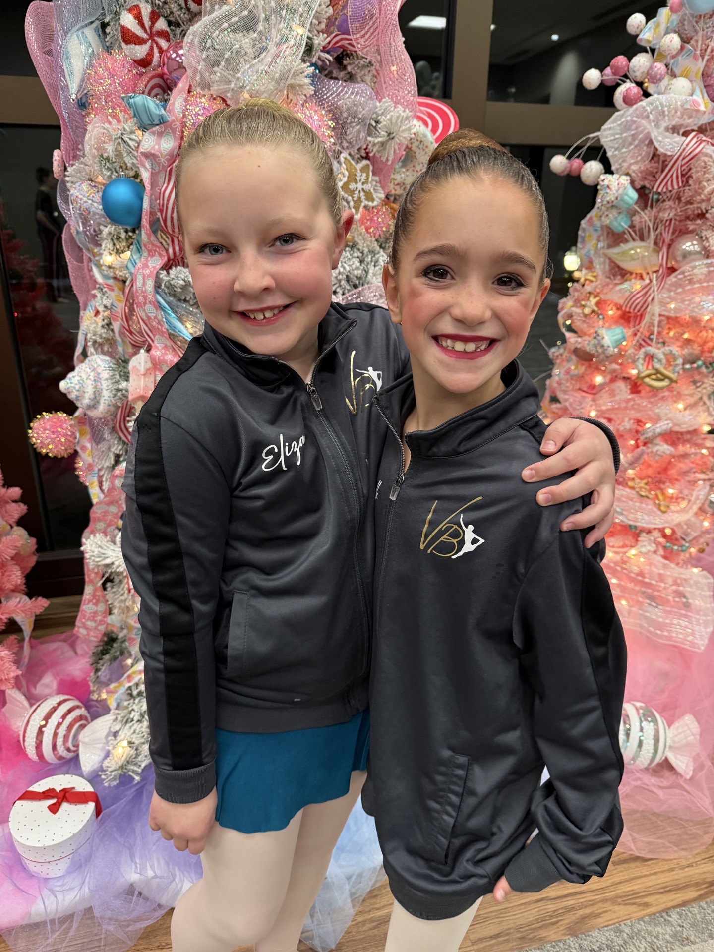Verity Ballet - Dance Classes in Lowell, MI